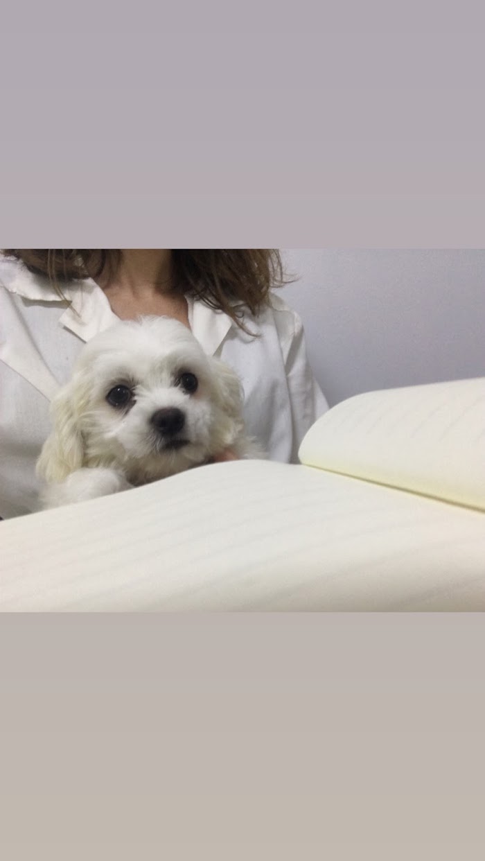 Clinique Vétérinaire El Khalil, Gammarth, Tunis, TN