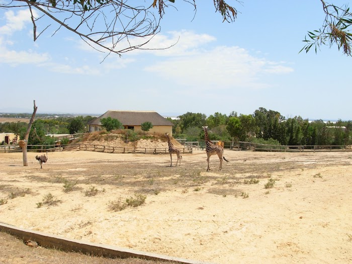 Kantaoui Zoo, Hammam Sousse, Sousse, TN